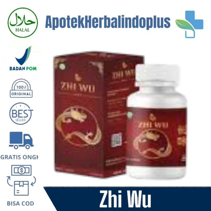 Jual ZHI WU Kapsul Herbal Obat Rematik Asam UratNyeri Sendi Pegel Linu ...