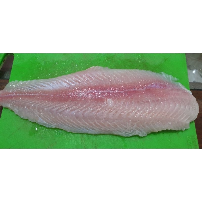 Jual dori fillet / patin | Shopee Indonesia