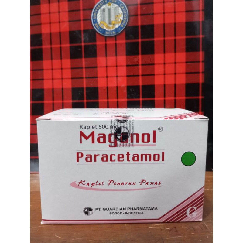 Jual Maganol paracetamol box | Shopee Indonesia