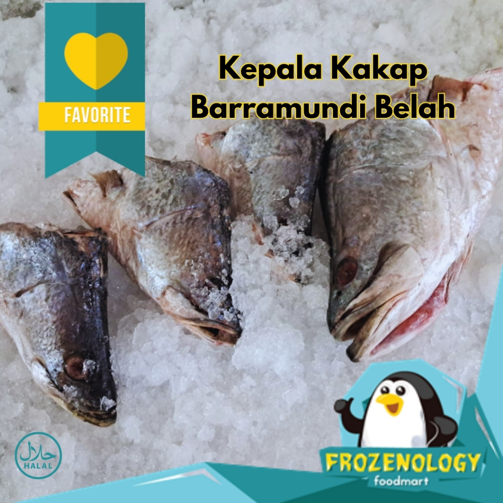 Jual Kepala Ikan Kakap Putih atau Kakap Barramundi Belah KG Frozen ...