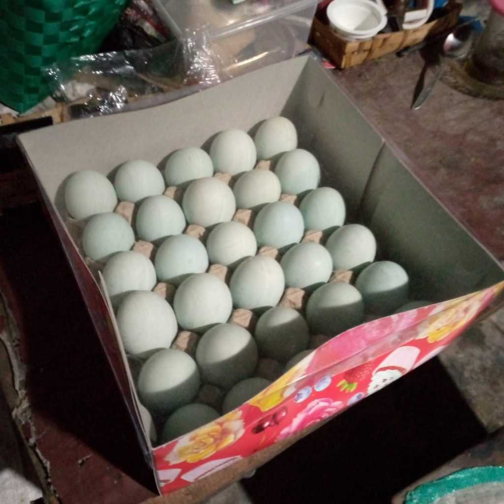 Jual Telur Asin Bebek Produk Lokal Isi 10 Butir | Shopee Indonesia