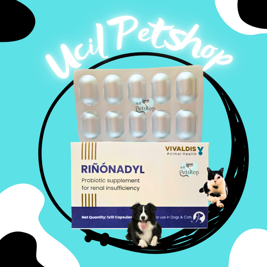 Jual Rinonadyl Vivaldis Supplement for Kidney (1 Blister = 10 Tablet ...