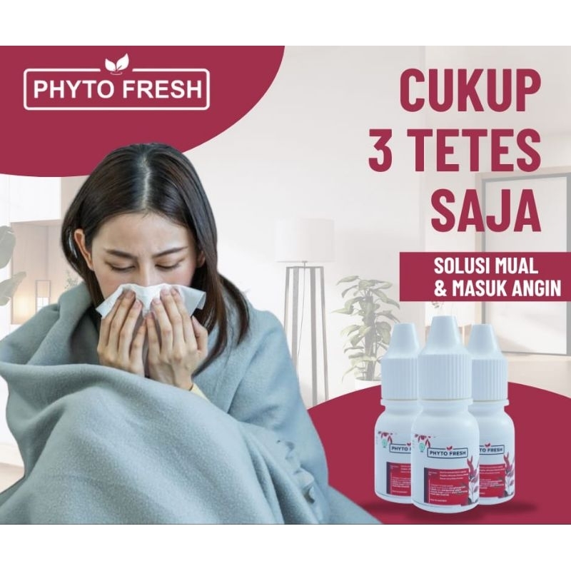 Jual Phyto Fresh 1 Box (10 botol) p3k obat minyak kesehatan | Shopee ...