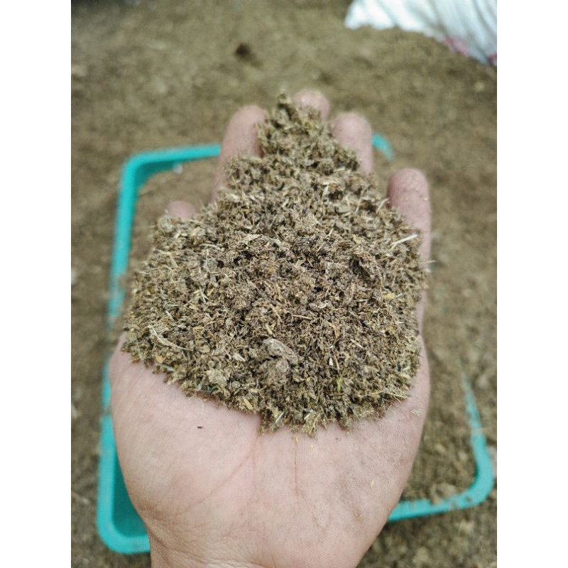 Jual Media Pupuk Kascing 1KG Cocok Untuk Tanaman Lebih Subur | Shopee ...