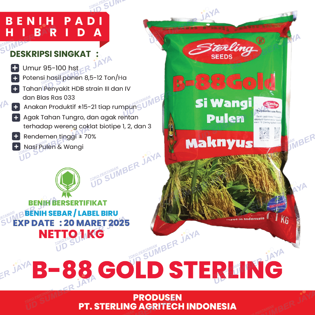 Jual Benih Padi Hibrida B-88 Gold Sterling Asli Original Baru | Shopee ...