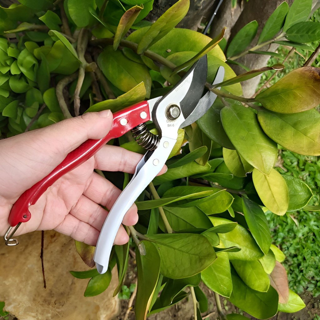 Jual Alat Gunting Dahan Ranting Pruning Alat Potong Dahan Ranting Stek Pruning Shears | Shopee ...