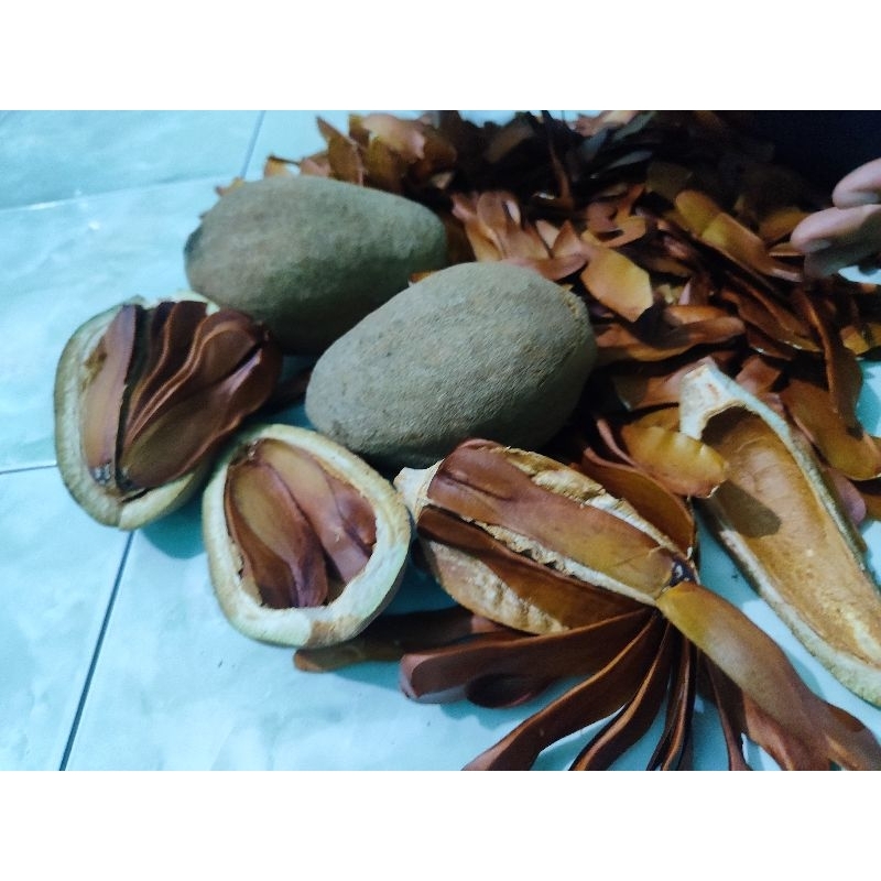 Jual Buah Mahoni Obat Diabetes | Shopee Indonesia