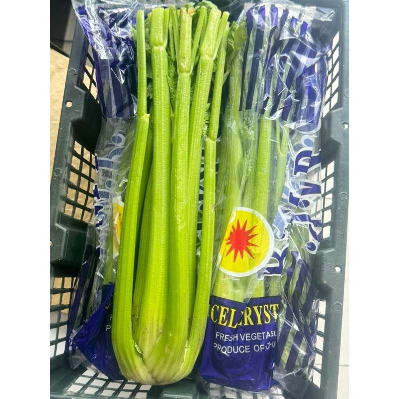 Jual CELERY STICK IMPORT | Shopee Indonesia