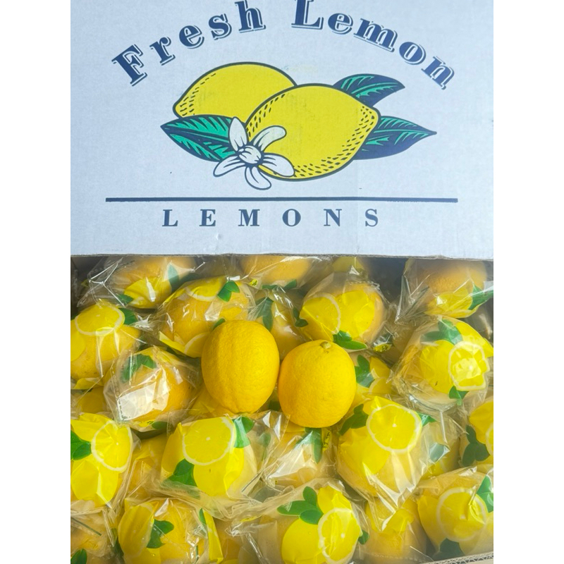 Jual LEMON CHINA (DUS) | Shopee Indonesia