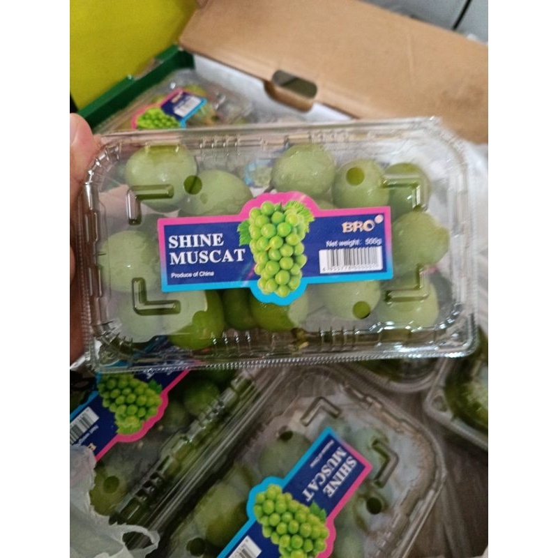 Jual buah anggur shine muscat hijau viral kemasan pack | Shopee Indonesia