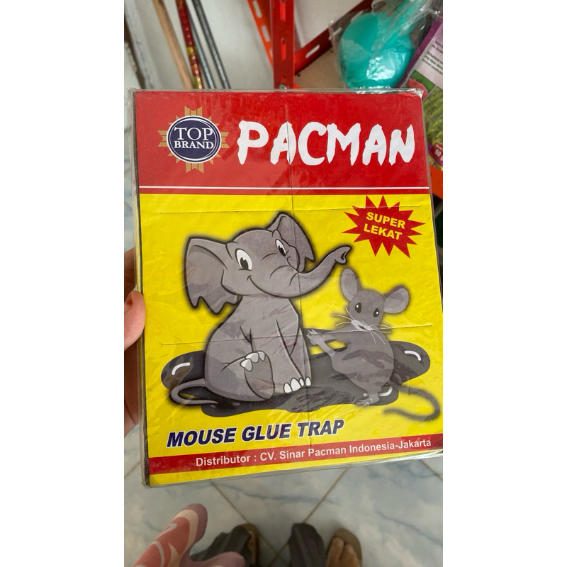 Jual Pacman Lem Tikus | Shopee Indonesia
