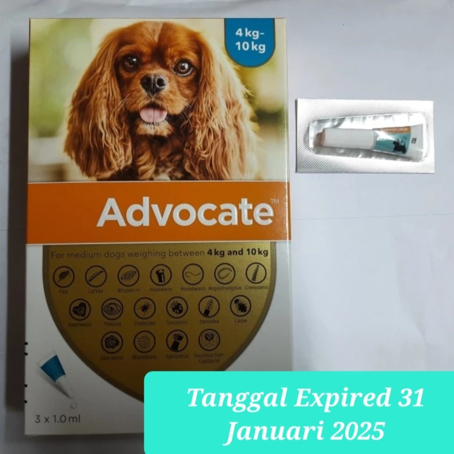 Jual Obat Kutu dan Jamur Anjing advocate 4kg to 10kg | Shopee Indonesia