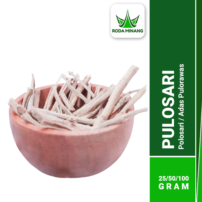 Jual Kayu Pulosari Kulit Kering Adas Pulowaras Batang Pulasari Polosari ...