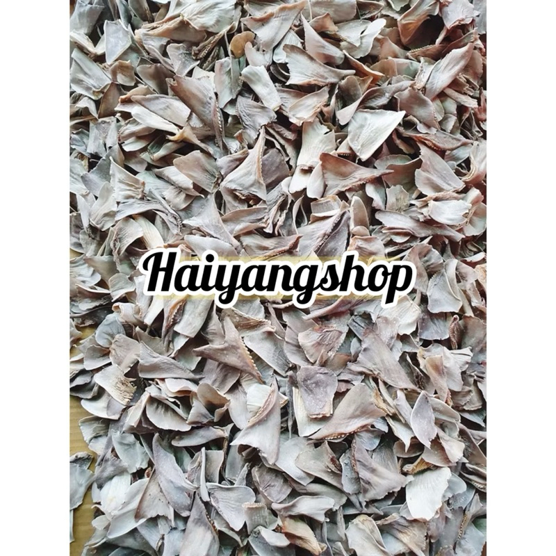 Jual HISIT UTUH KERING 100GM KECIL BAHAN SUP SIRIP IKAN HIU BERKUALITAS ...