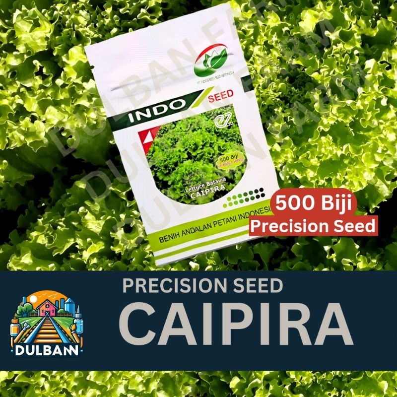Jual Benih Selada Lettuce Caipira Batavia Indo Seed Pills | Shopee ...