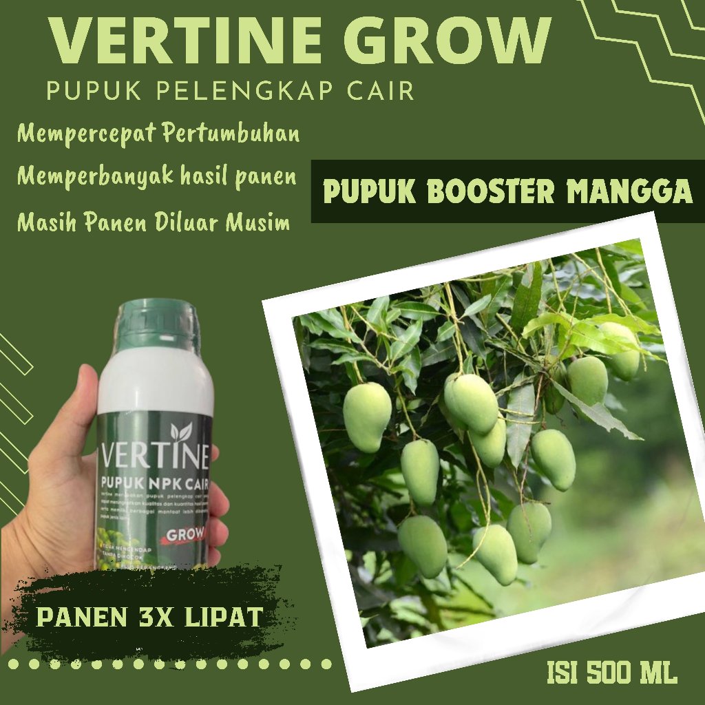 Jual Pupuk booster mangga perangsang bunga dan pelebat buah VERTIEN GROW kemasan 500 ML bisa cod ...