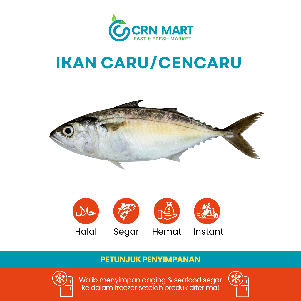 Jual CRN MART - Ikan Caru Segar/Seafood Segar/Ikan Cencaru Fresh ...