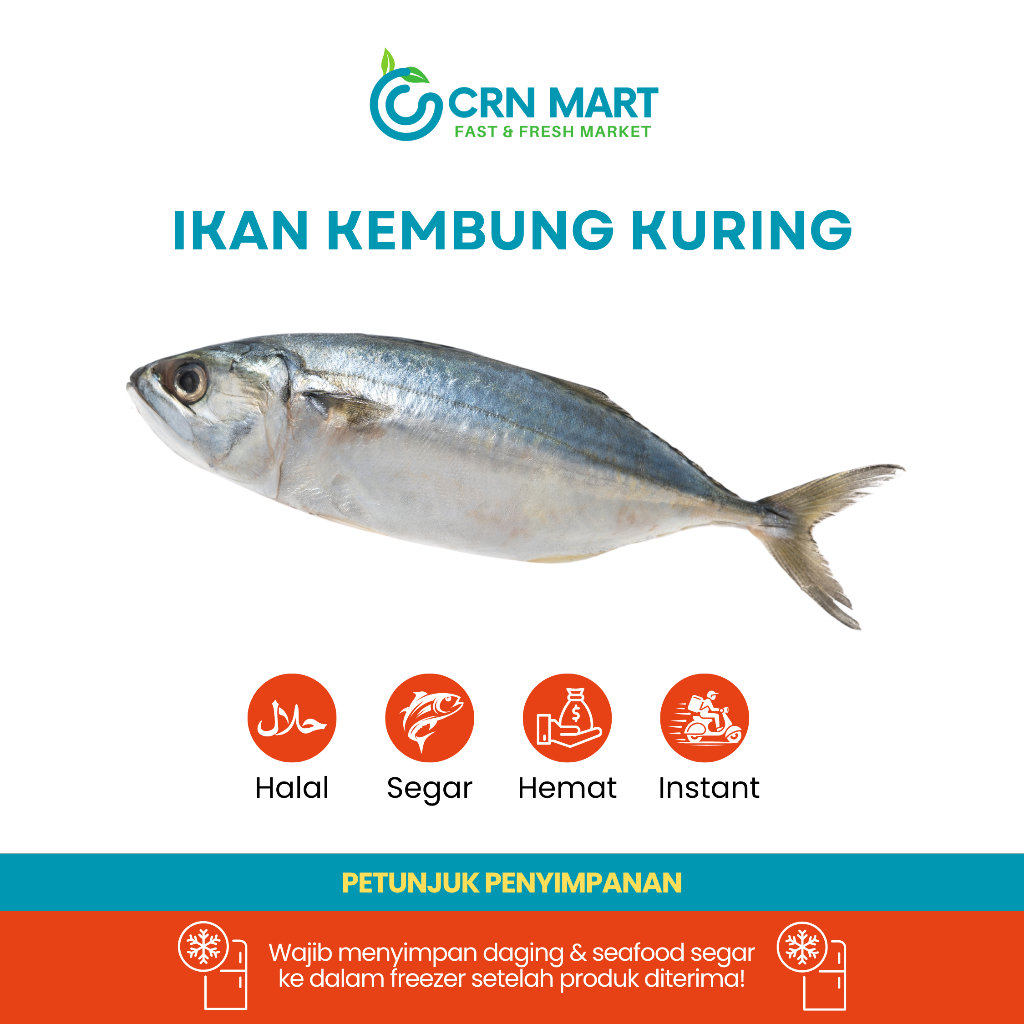 Jual CRN MART - Ikan Kembung Kuring Segar/Seafood Segar/Ikan Gembung ...