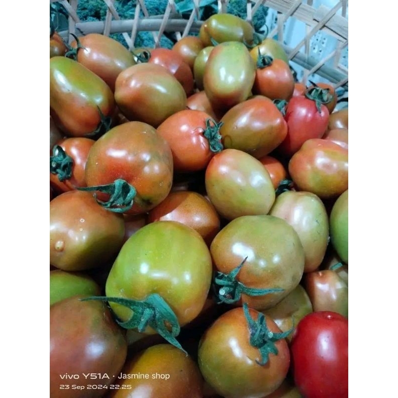 Jual tomat buah 1 kg, jus buah tomat, tomat masak, tomat kaya vitamin ...