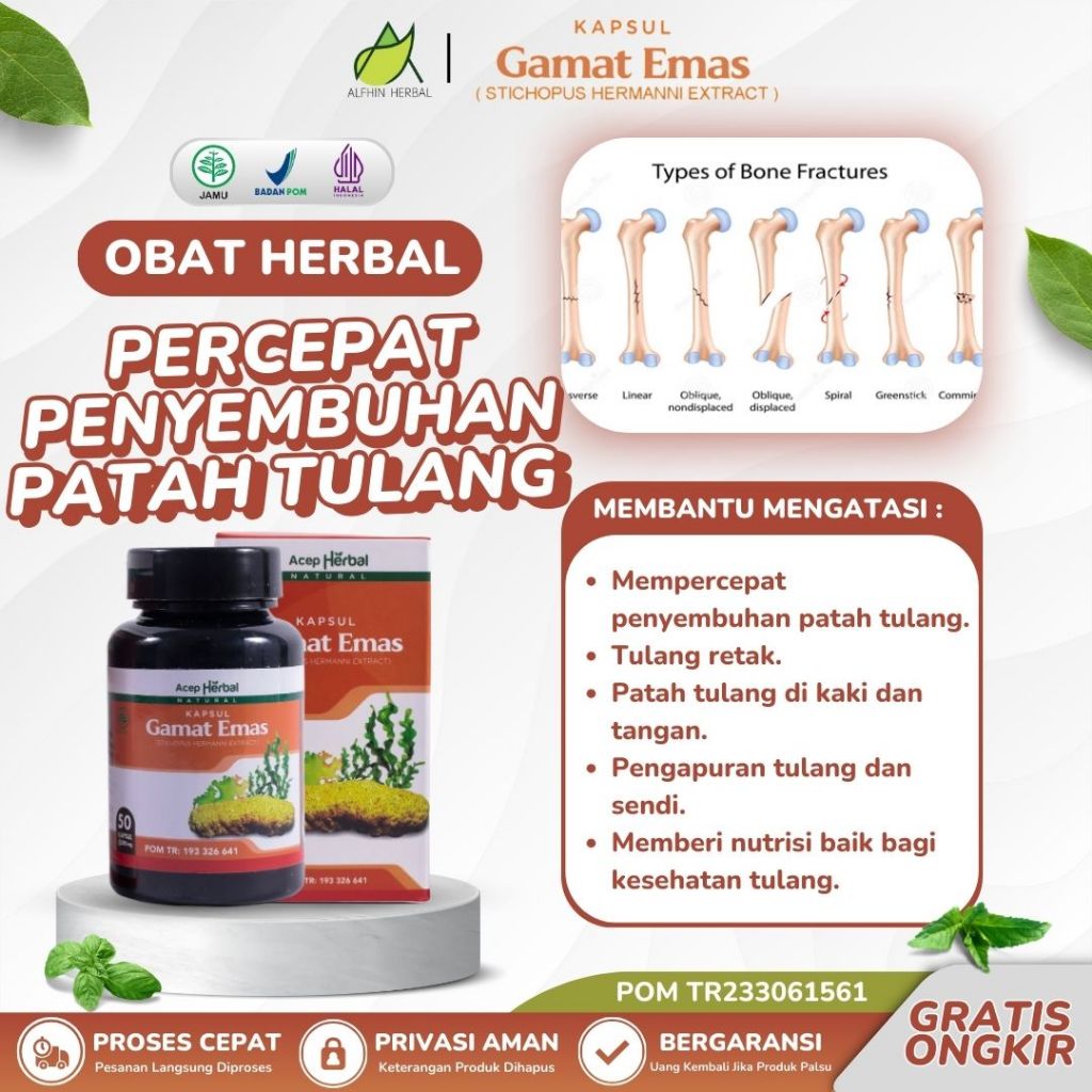 Jual Obat Patah Tulang Retak Remuk Cedera Terkilir Patah Tulang Kaki ...