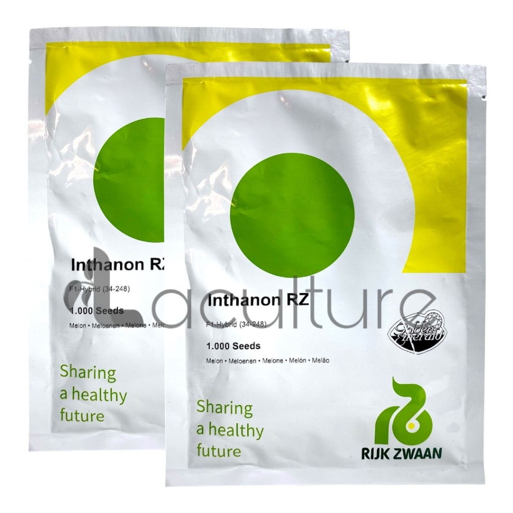 Jual Benih Melon INTHANON RZ Isi 1000 Butir Kemasan Original Rijk Zwaan ...