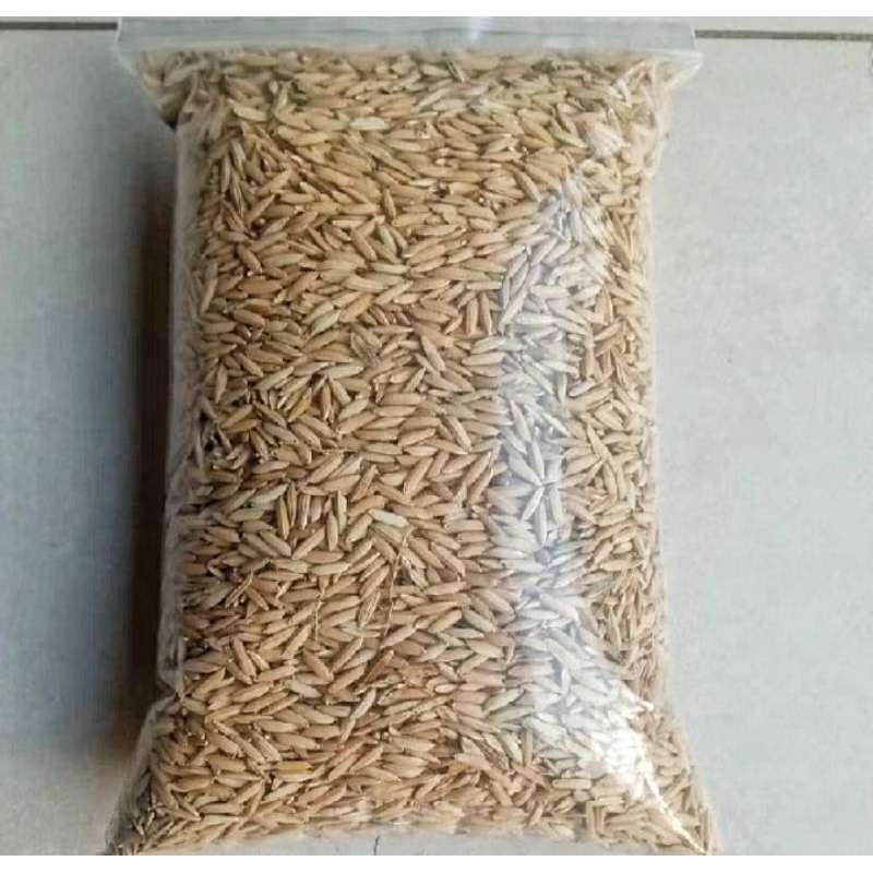 Jual Gabah Padi Kering Beras Putih 1 Kg | Shopee Indonesia