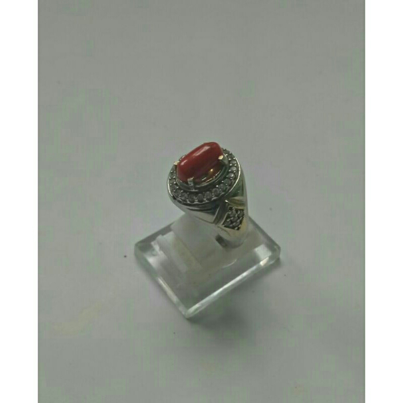 Jual batu marjan laut merah asli red coral corralium rubrum sejenis ...