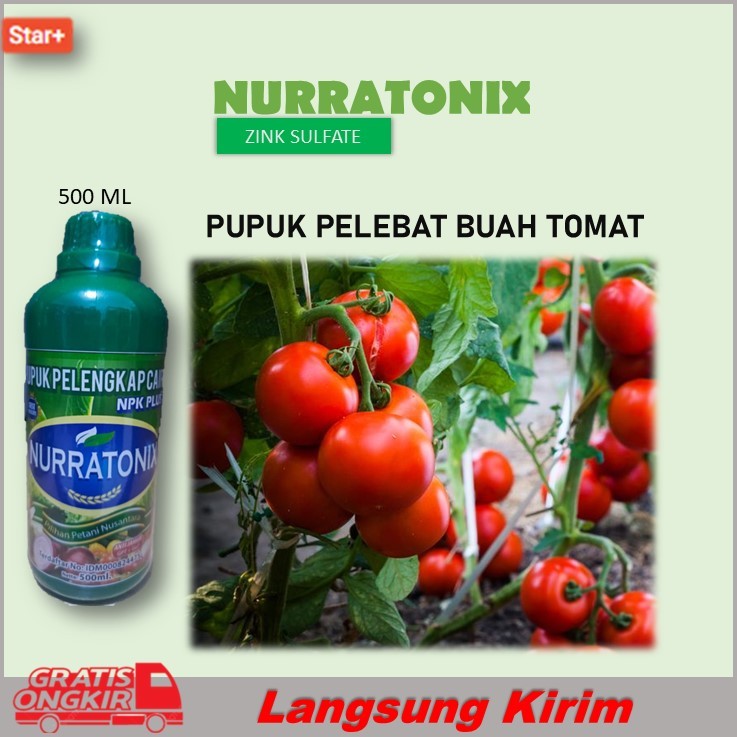 Jual Pupuk Pelebat Buat Tomat PUPUK PELENGKAP CAIR NPK PLUS ANTI JAMUR ZPT + GA7 NURATONIX 500ML ...