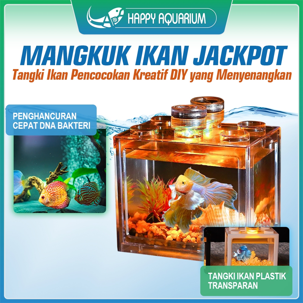 Jual Aquarium Mini Cupang Mini Akrilik Akuarium Block Ikan Hias Emas ...