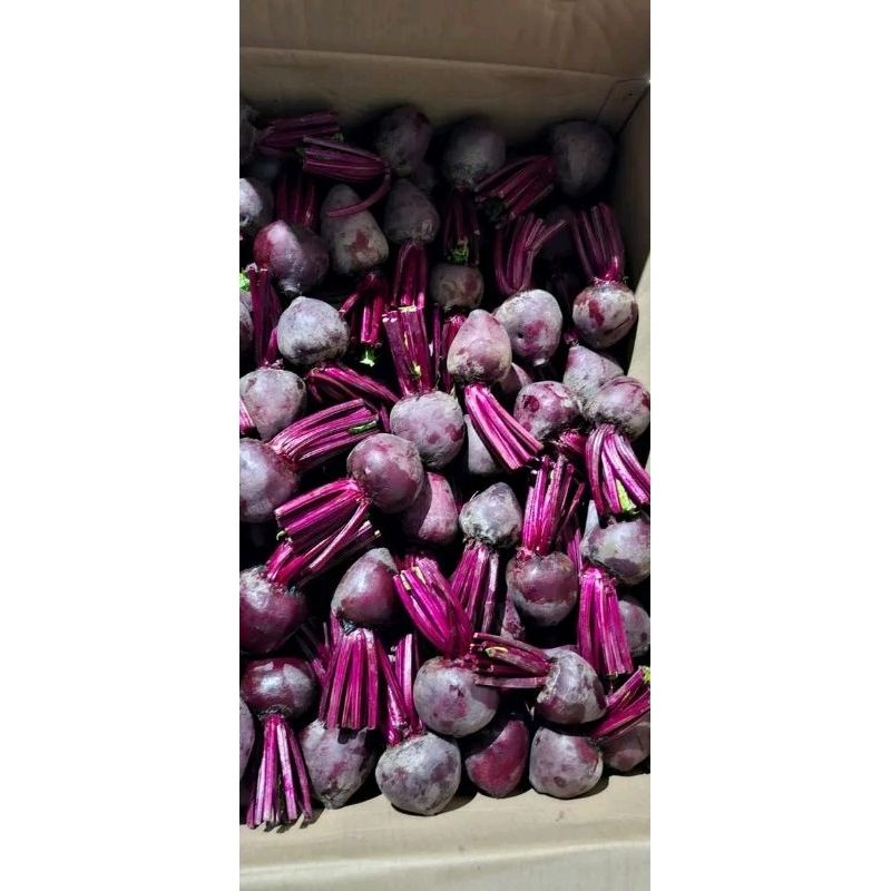 Jual Buah Bit 500 gram, Jus buah Bit, Buah bit kaya vitamin dan mineral ...