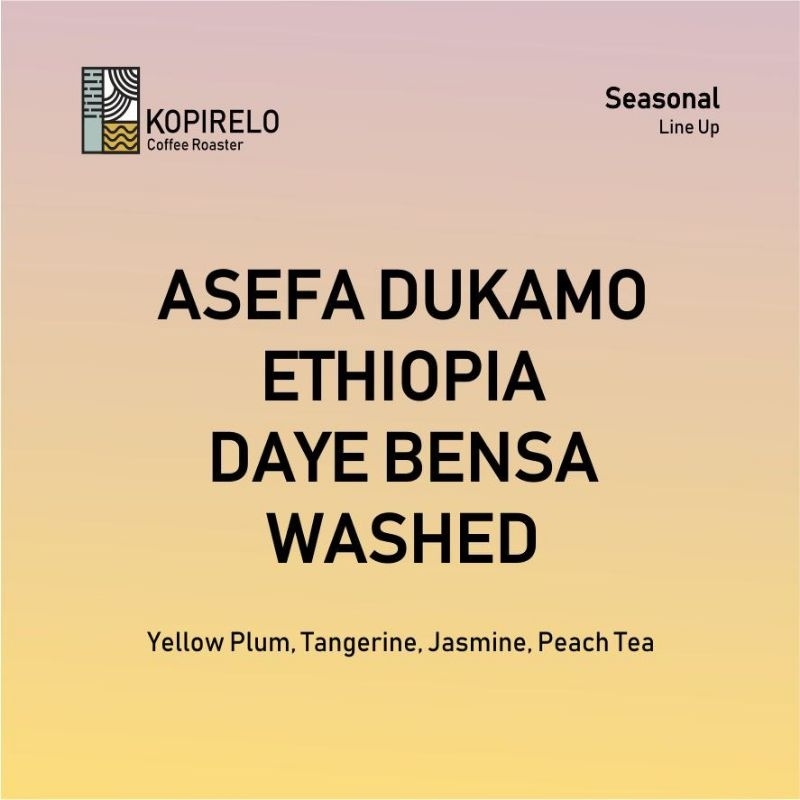 Jual Kopi Arabika Ethiopia Daye Bensa Washed 200 gr Specialty Filter ...