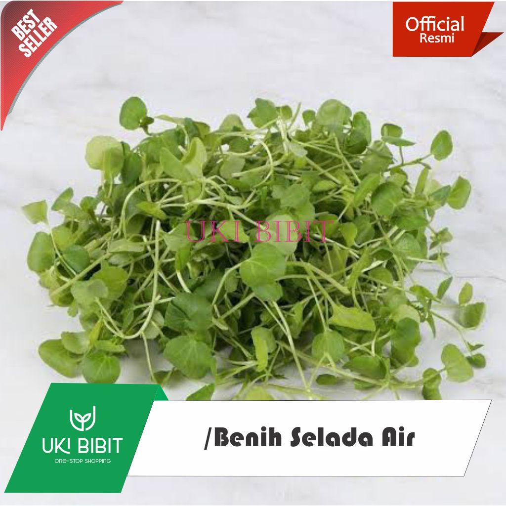 Jual ( 20 Butir ) Benih Biji Selada air | True Watercress | Tespong ...