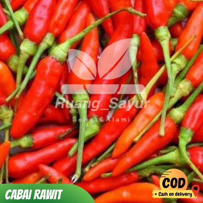 Jual Cabai Rawit Pedas , Cabai Pedas Original , Lombok Rawit , Lombok ...