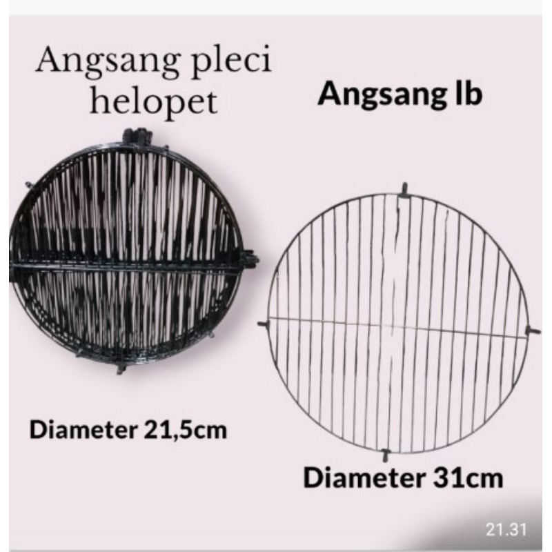 Jual Angsang lb dan pleci | Shopee Indonesia