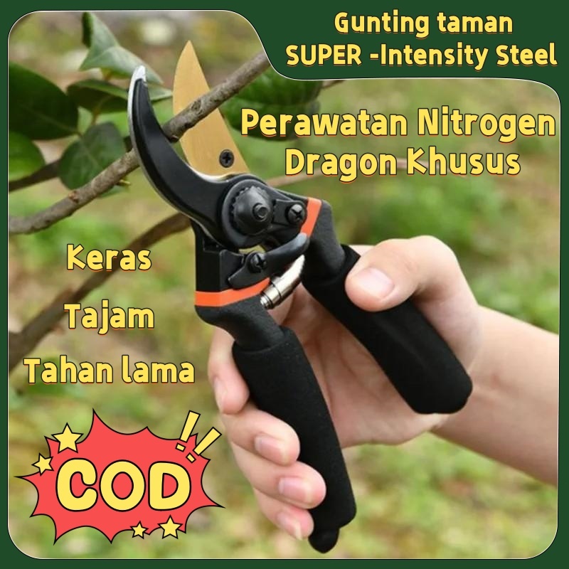 Jual Dahan gunting taman tanaman rumput kebun gunting gunting taman ...