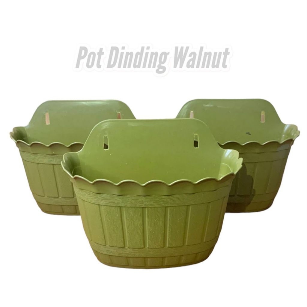 Jual POT DINDING WALNUT HIJAU GOLD | Shopee Indonesia