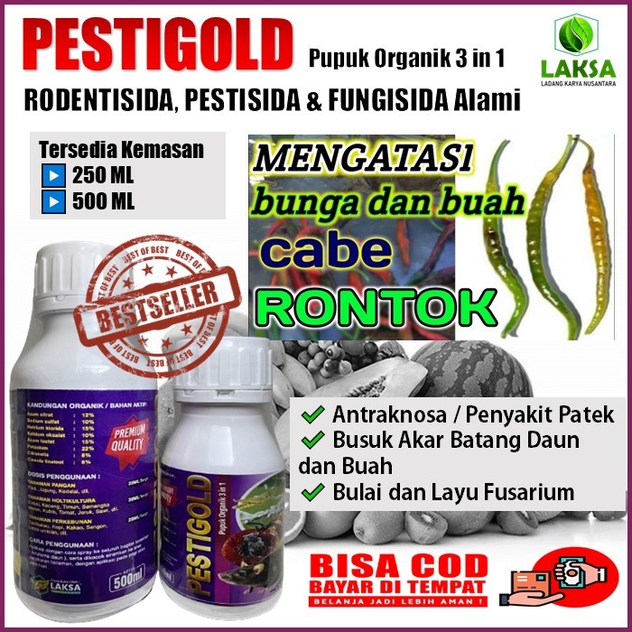 Jual obat semprot atasi rotok, patek, busuk cabe/cabai - PESTIGOLD ...
