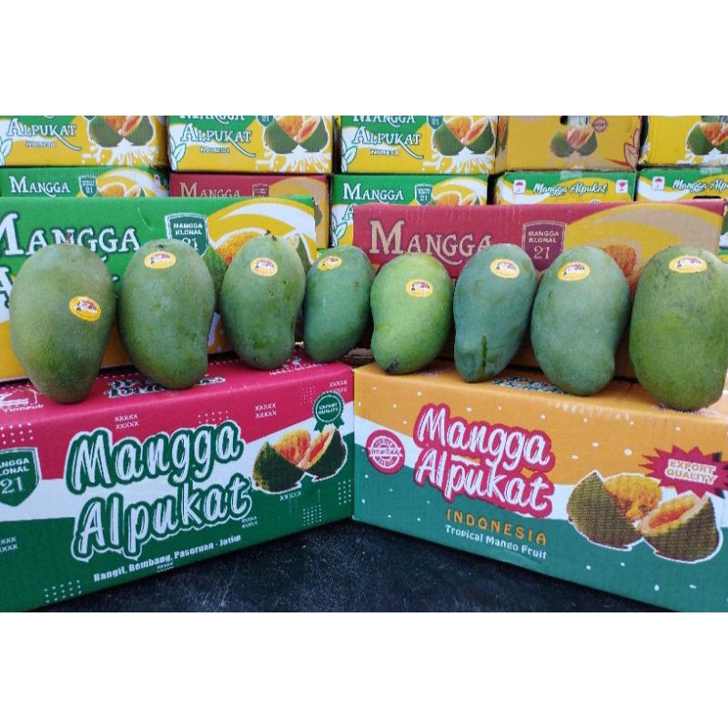 Jual MANGGA HARUMANIS SUPER (1 BOX 10KG) | Shopee Indonesia