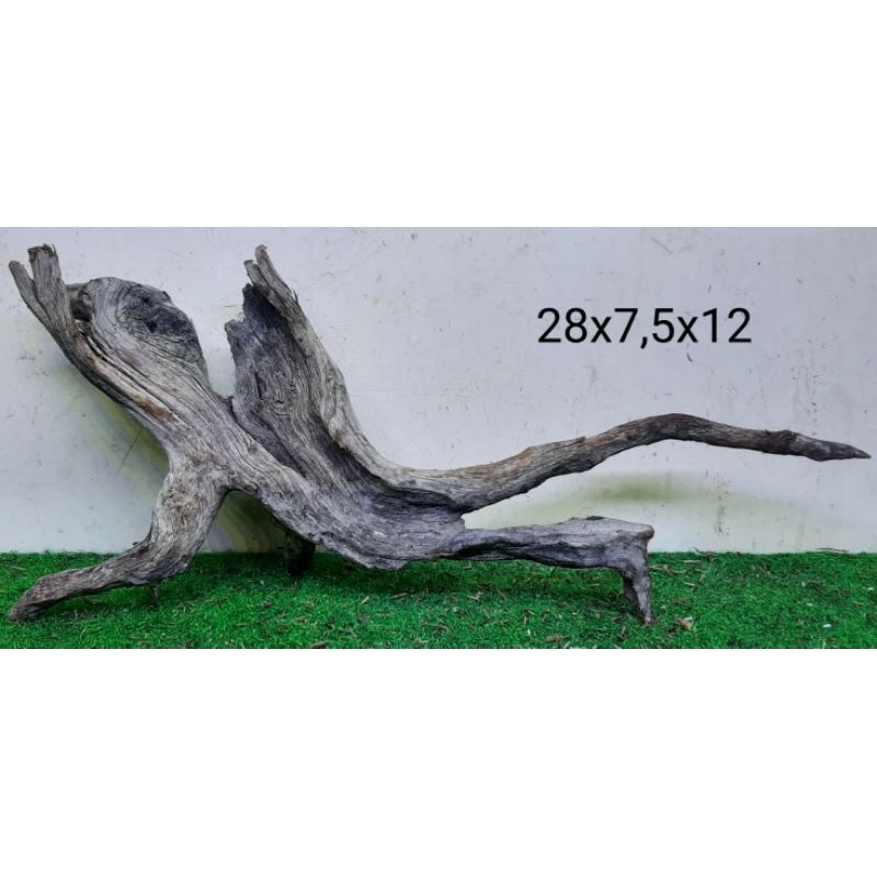 Jual Bonggol Kayu Santigi Laut Kecil - Kayu Tenggelam - Aquascape ...
