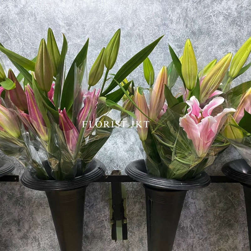Jual Bunga lily Casablanca 1 tangkai segar | Shopee Indonesia