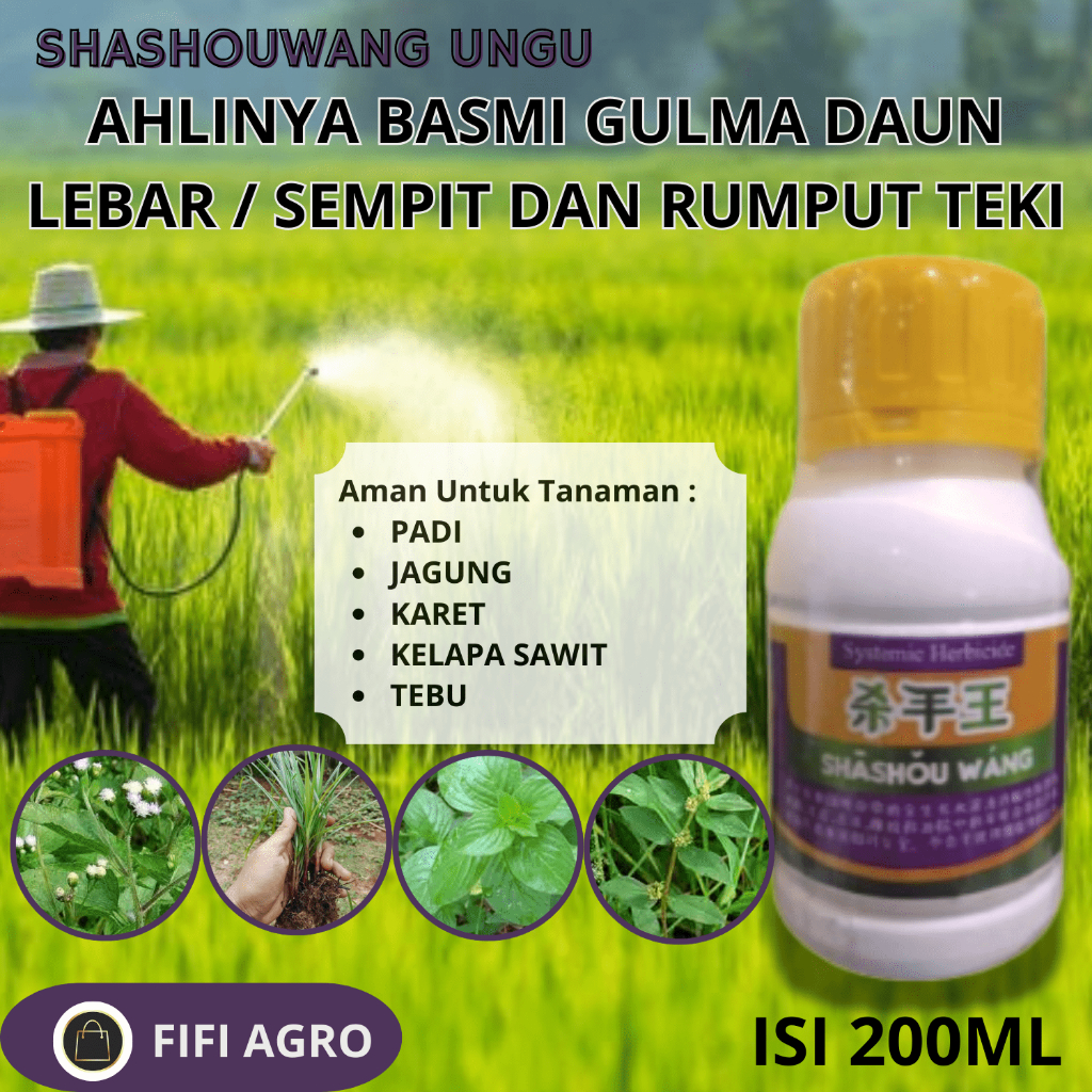 Jual SHASHOUWANG UNGU HERBISIDA SISTEMIK SELEKTIF 200ML PEMBASMI GULMA ...