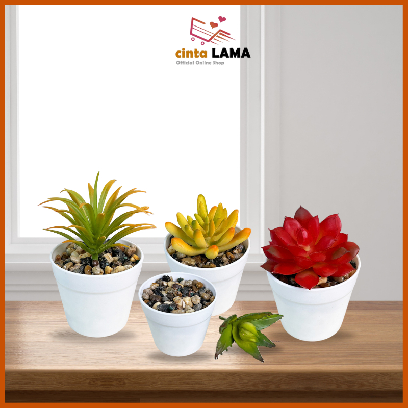 Jual Pot Bunga Kaktus Sukulen Latex Mini Tanaman Hias Artificial ...