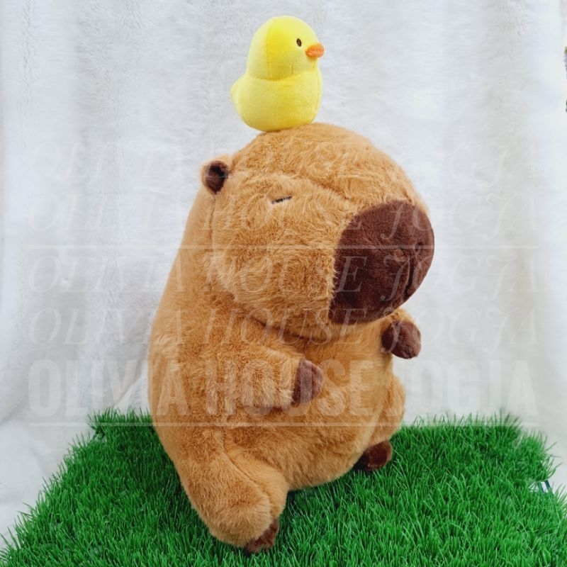 Jual Boneka Capybara Bebek 14" Boneka Capybara 14" Gembul Boneka ...