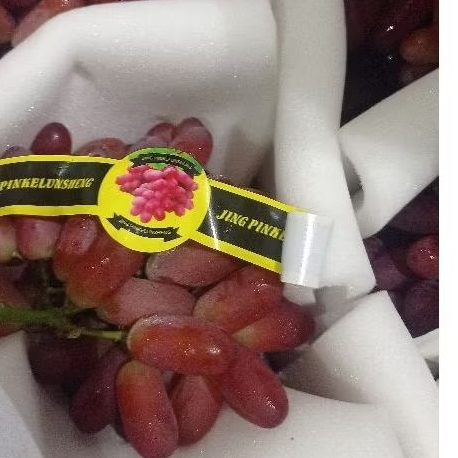 Jual Buah anggur merah jari / chrimpson | Shopee Indonesia