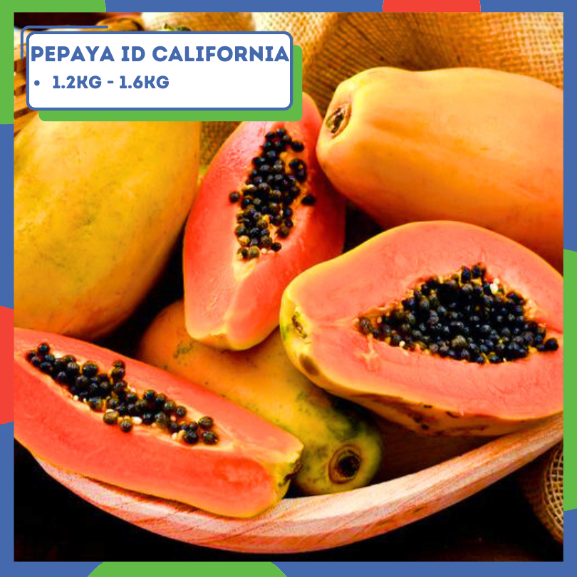 Jual Pepaya California 1.2kg - 1.6kg | Shopee Indonesia