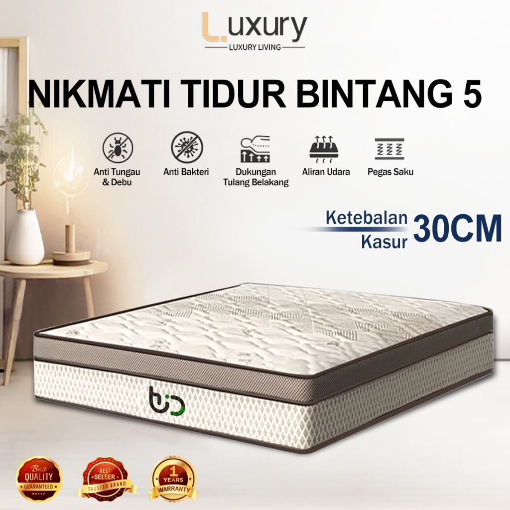 Jual LL Tebal 25 cm Kotak Independen Kemasan / Tempat Tidur Kasur ...