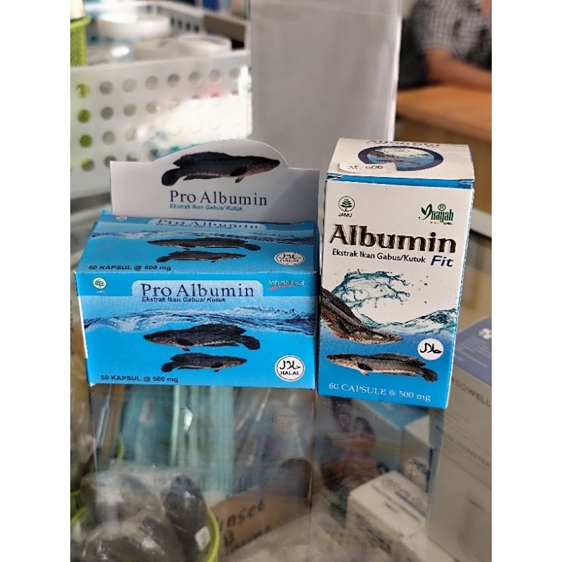 Jual Pro albumin / Estrak Ikan Gabus Atau Kutuk / Albumin Fit | Shopee ...