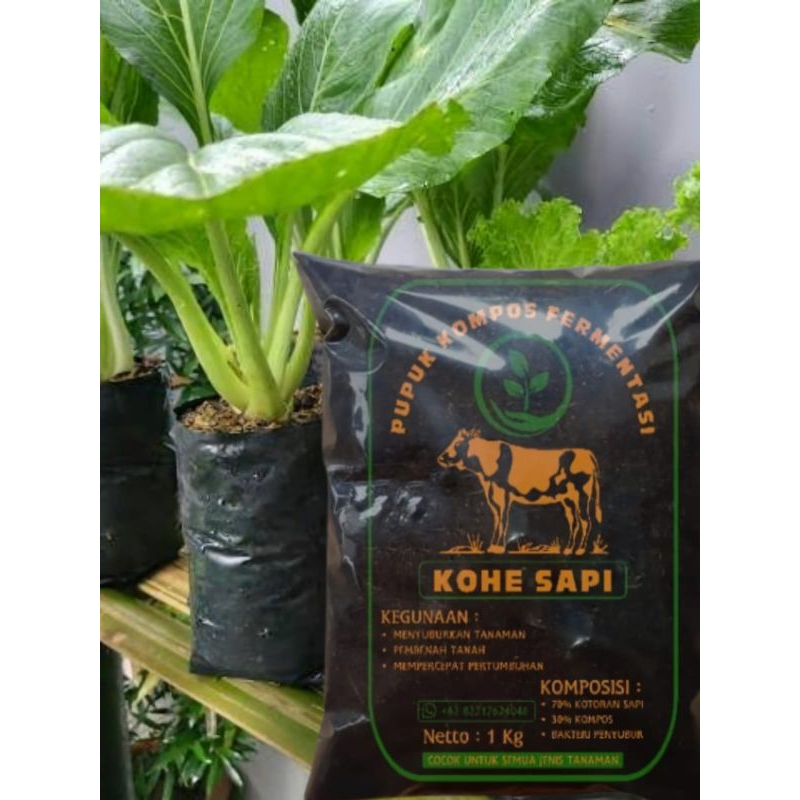 Jual Kompos Kohe Sapi/ Kompos grow/Pupuk organik kohe sapi/Media tanam ...