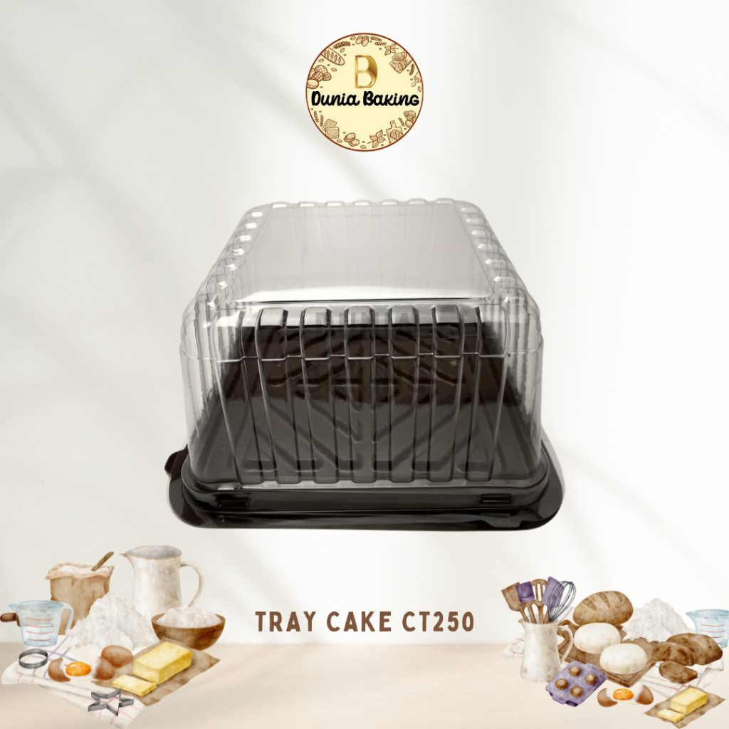 Jual Tray Cake PERSEGI CT 250 Petak | Kotak Kue persegi 25cm | Shopee ...