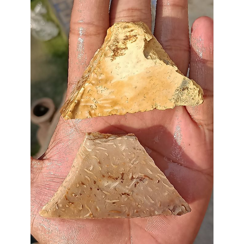 Jual Bahan Batu Posil Aren Jumbo | Shopee Indonesia